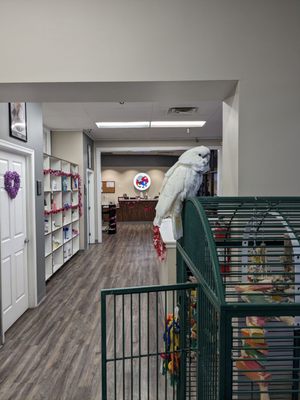 ABBEY ANIMAL HOSPITAL - Updated November 2025 - 20 Photos & 59 Reviews ...