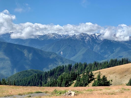 HURRICANE RIDGE | 405 Photos & 94 Reviews | 600 E Park Ave, Port ...