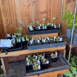 LIFESOURCE NATURAL FOODS - Updated December 2025 - 168 Photos & 108 ...