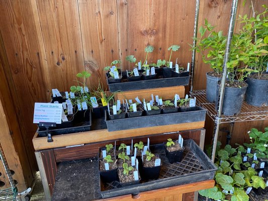 LIFESOURCE NATURAL FOODS - Updated March 2026 - 168 Photos & 108 ...