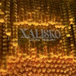 XALISKO COCINA MEXICANA - Updated April 2026 - 762 Photos & 321 Reviews ...