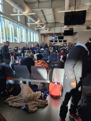 GREYHOUND BUS LINES - Updated December 2025 - 97 Photos & 206 Reviews ...