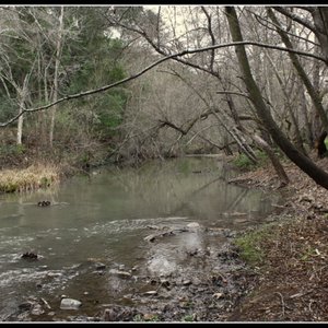 THOUSAND TRAILS MORGAN HILL - Updated December 2025 - 162 Photos & 148 ...