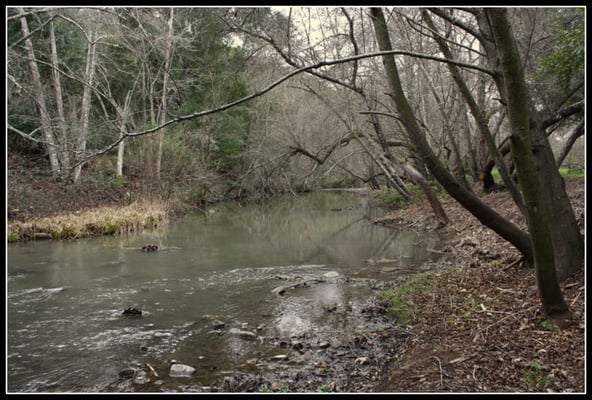 UVAS PINES RV PARK - Updated January 2026 - 27 Photos & 23 Reviews ...