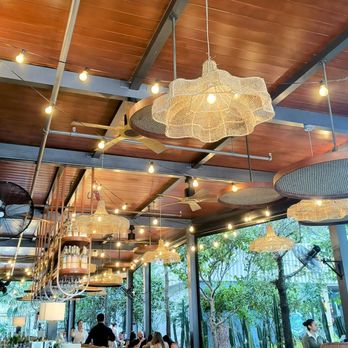 KOKO - Updated July 2025 - 615 Photos & 255 Reviews - 2856 Tigertail ...