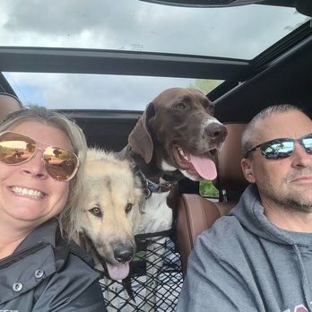 RUFF START RESCUE - Updated October 2025 - 14 Photos & 24 Reviews ...