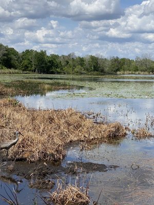 RED BUG LAKE PARK - 140 Photos & 36 Reviews - 3600 Red Bug Lake Rd ...