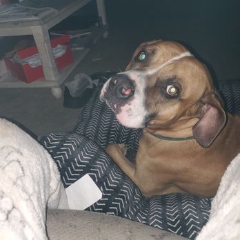 RICHPLATE RESTAURANT & CAFE - Updated September 2024 - 89 Photos & 119 ...