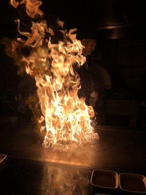SHOGUN STEAK HOUSE - 48 Photos & 65 Reviews - Steakhouses - 6808 S ...