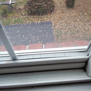 PARADIGM WINDOW SOLUTIONS - Updated December 2025 - 400 Riverside ...