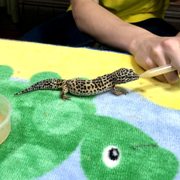 AQUARIUM & SHARK LAB BY TEAM ECCO - 42 Photos & 18 Reviews - 511 N Main ...