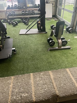 GOLD’S GYM - Updated December 2025 - 38 Photos & 135 Reviews - 1625 ...