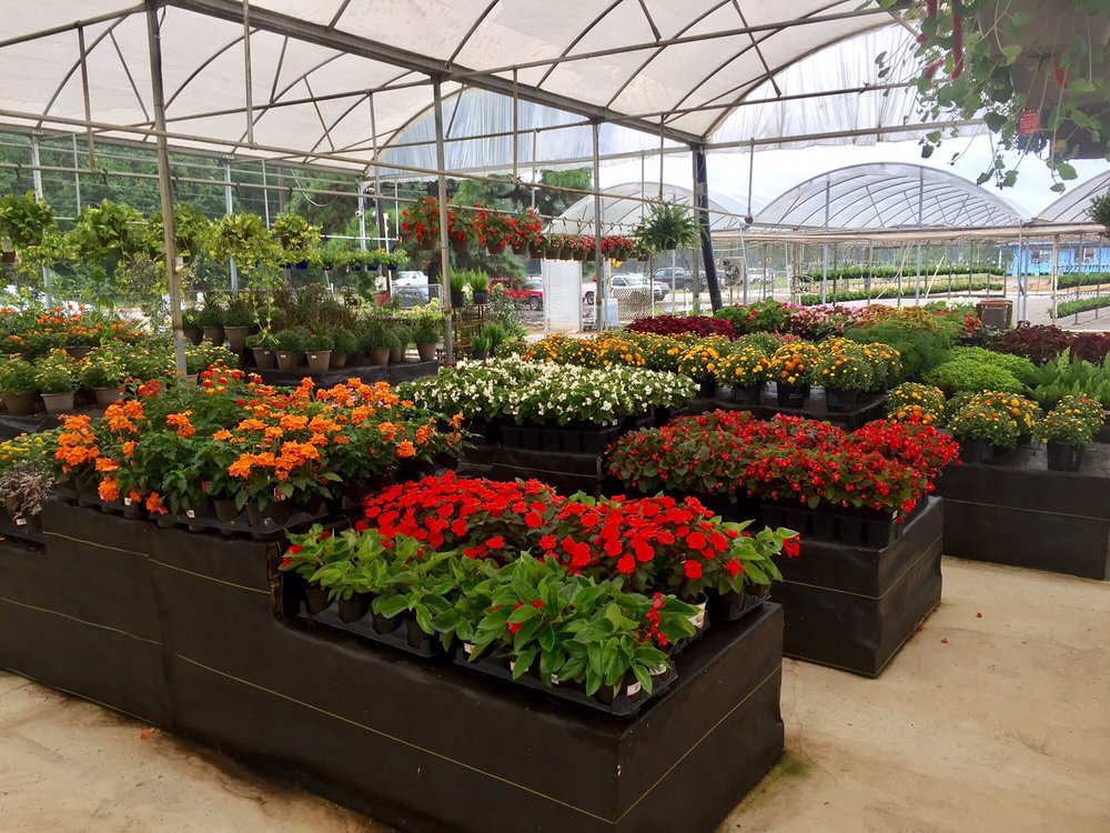 SHORE ACRES PLANT FARM - Updated December 2025 - 11545 Bellingrath Rd ...