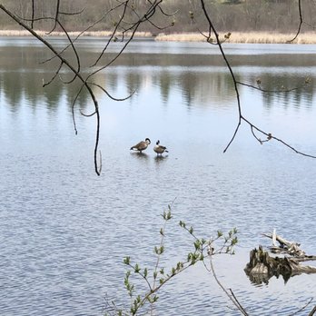 DRYDEN LAKE PARK - Updated November 2025 - 14 Photos - W Lake Rd ...