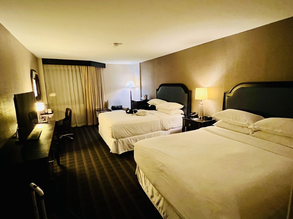 SHERATON CHARLOTTE AIRPORT HOTEL - Updated September 2025 - 150 Photos ...