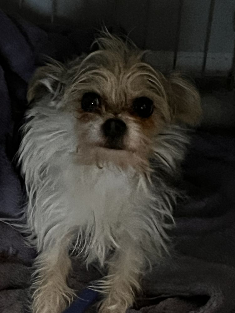 ENDURANCE/AUTO ASSURE CAR WARRANTY - Updated December 2025 - 26 Photos ...