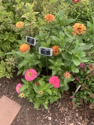 UNIVERSITY OF ILLINOIS ARBORETUM - Updated June 2025 - 185 Photos & 23 ...