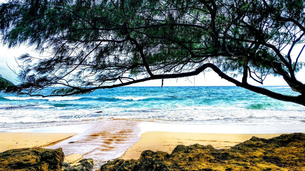 MOLOA’A BEACH - Updated September 2024 - 3531 Moloaa Rd, Kilauea ...