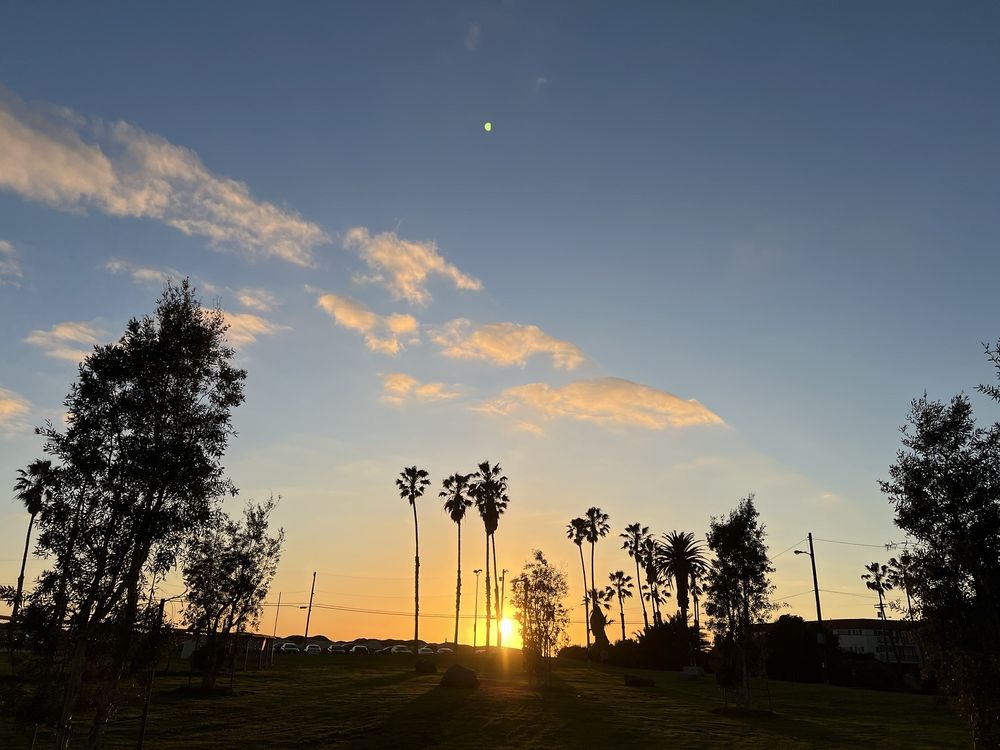 DEL REY LAGOON - Updated June 2025 - 117 Photos & 48 Reviews - 6660 ...