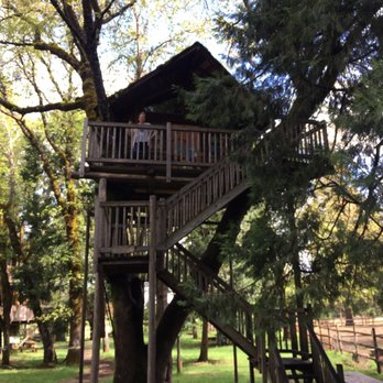 OUT’N’ABOUT TREEHOUSE TREESORT - Updated December 2025 - 314 Photos ...