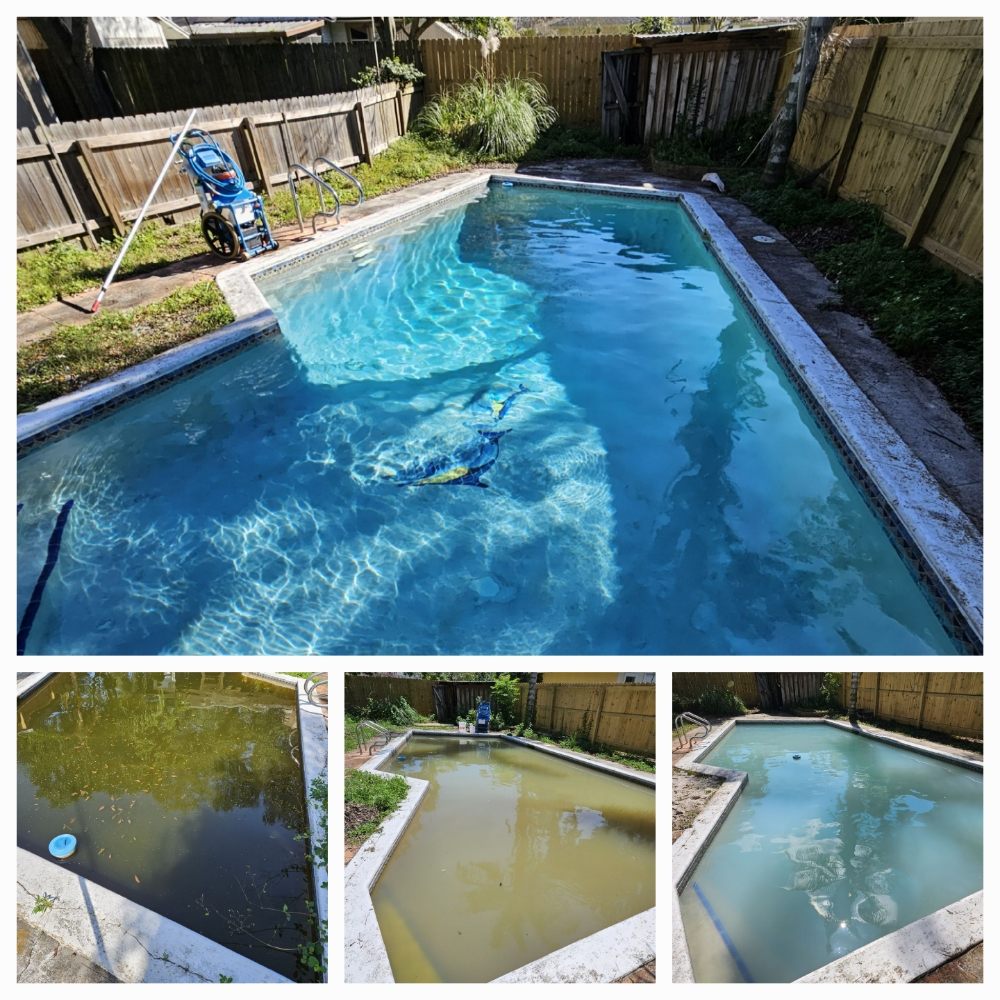 BLUEBIRD POOLS - Updated May 2026 - 14 Photos - 675 Narrowleaf Dr ...