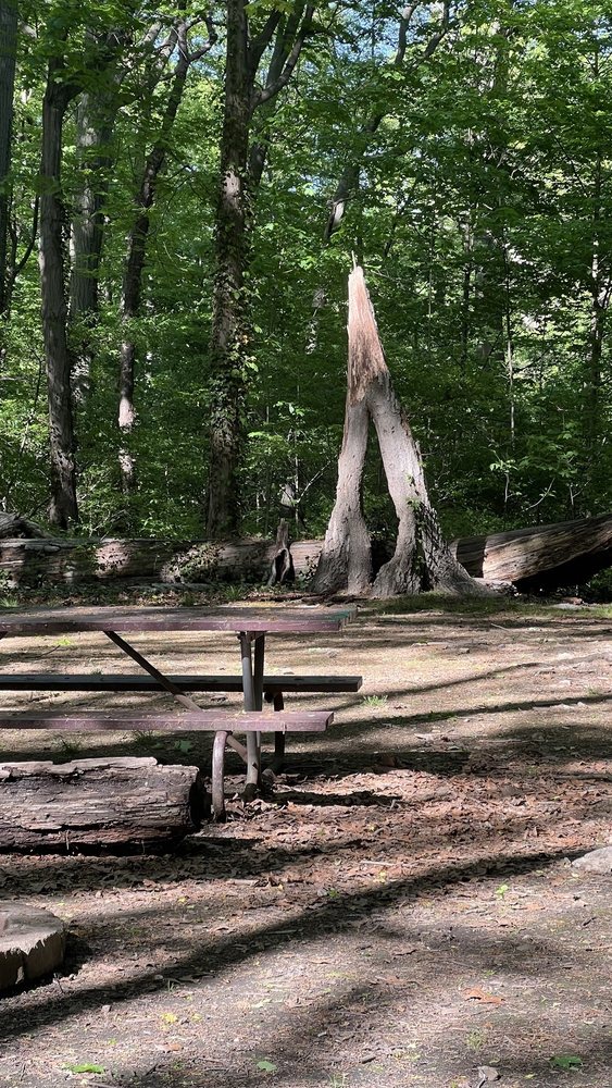 CHRISTOPHER MORLEY PARK - Updated October 2025 - 55 Photos & 32 Reviews ...