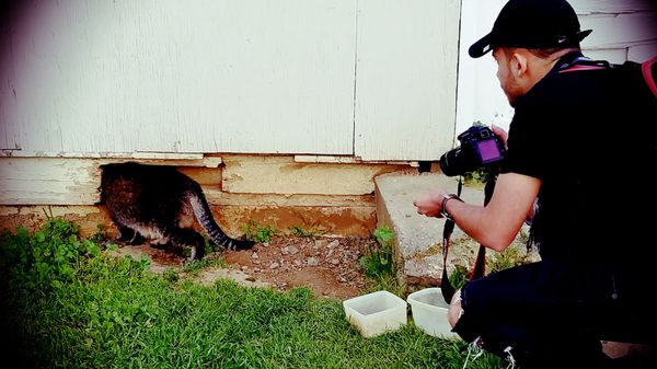 DIABLO VALLEY RANCH - Updated December 2025 - 42 Photos - 11540 Marsh ...