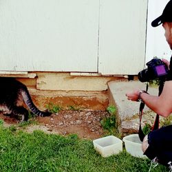 DIABLO VALLEY RANCH - 36 Photos - Rehabilitation Center - 11540 Marsh ...