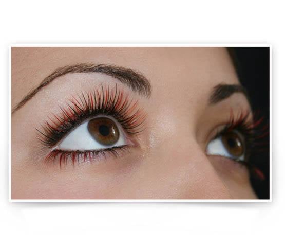 ZURI - Updated January 2025 - 24 Photos - 41 Dalry Road, Edinburgh ...