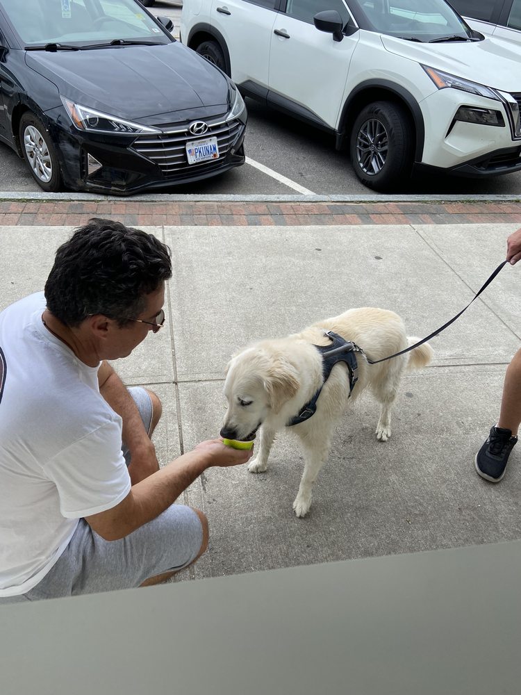 IVYS ICE CREAM SHOP - Updated August 2025 - 248 Lakeside Ave, Laconia ...