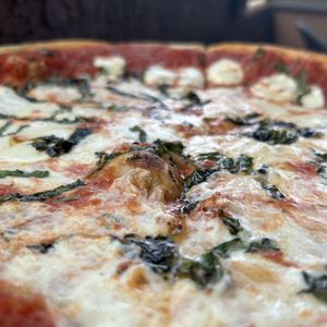 PISA LISA - Updated February 2025 - 97 Photos & 152 Reviews - 6657 ...