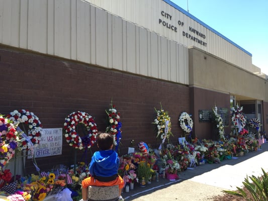 HAYWARD POLICE DEPARTMENT - Updated May 2026 - 27 Photos & 50 Reviews ...