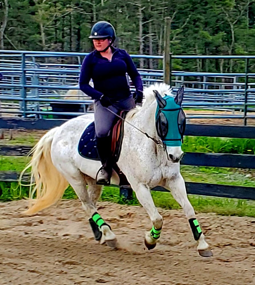 EVEN KEEL EQUESTRIAN - Updated July 2025 - 146 Rocky Meadow Rd ...