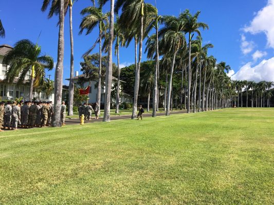 HISTORIC PALM CIRCLE - Updated August 2025 - 25 Photos - Palm Cir Dr ...