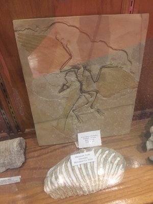 MAYBORN SCIENCE THEATER - Updated September 2025 - 6900 W Central Texas ...