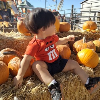 BARBER FAMILY FARM - Updated May 2024 - 280 Photos & 31 Reviews - 354 B ...