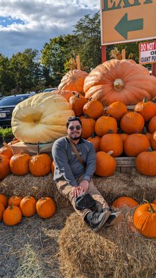 NALLS PRODUCE - Updated October 2025 - 394 Photos & 139 Reviews - 7310 ...