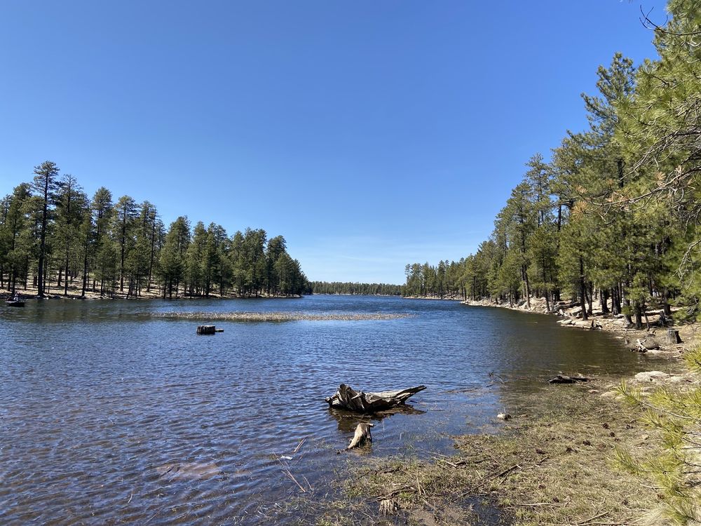 WILLOW SPRINGS LAKE - 73 Photos & 18 Reviews - Payson, AZ - Yelp