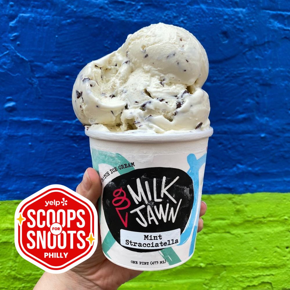 SCOOPS FOR SNOOTS EXPERIENCE: MILK JAWN NOLIBS - Updated March 2025 ...