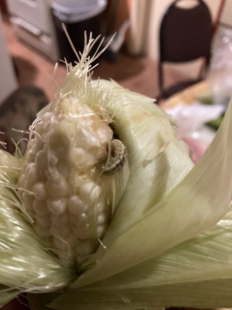 COST LESS FOOD COMPANY - Updated October 2025 - 47 Reviews - 901 N ...