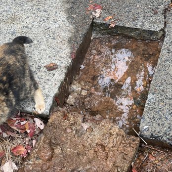 ARROW WASTE with photos - Updated August 2024 - 21 Photos & 26 Reviews ...