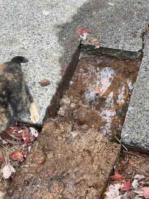 ARROW WASTE - Updated January 2026 - 27 Photos & 74 Reviews - 4039 ...