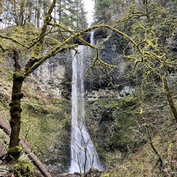 SILVER FALLS STATE PARK - 1507 Photos & 323 Reviews - 20024 Silver ...
