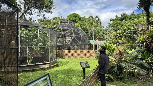 PANA’EWA RAINFOREST ZOO & GARDENS - Updated August 2025 - 906 Photos ...