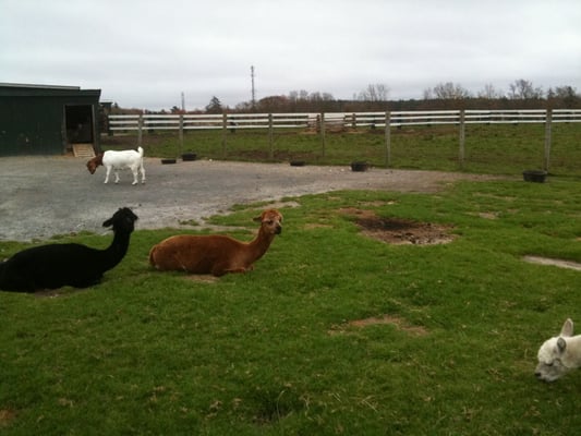 HATFIELD FARM - Updated December 2025 - 56 Photos & 16 Reviews - 1840 ...