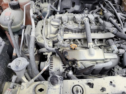 UNIVERSAL NISSAN - Updated December 2025 - 215 Photos & 239 Reviews ...