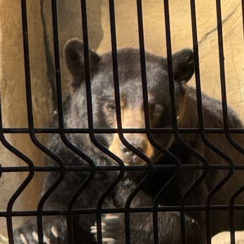 OC ZOO IRVINE REGIONAL PARK - Updated October 2025 - 111 Photos & 41 ...