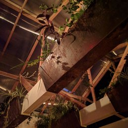 BAR SUZANNE - Updated December 2025 - 112 Photos & 51 Reviews - 20 ...