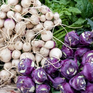 TAXCO PRODUCE - Updated May 2025 - 4202 Dan Morton Drive, Dallas, Texas ...