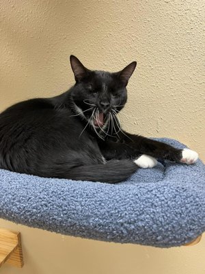 PLANET PERK - CITY CENTER - Updated May 2025 - 45 Photos & 44 Reviews ...